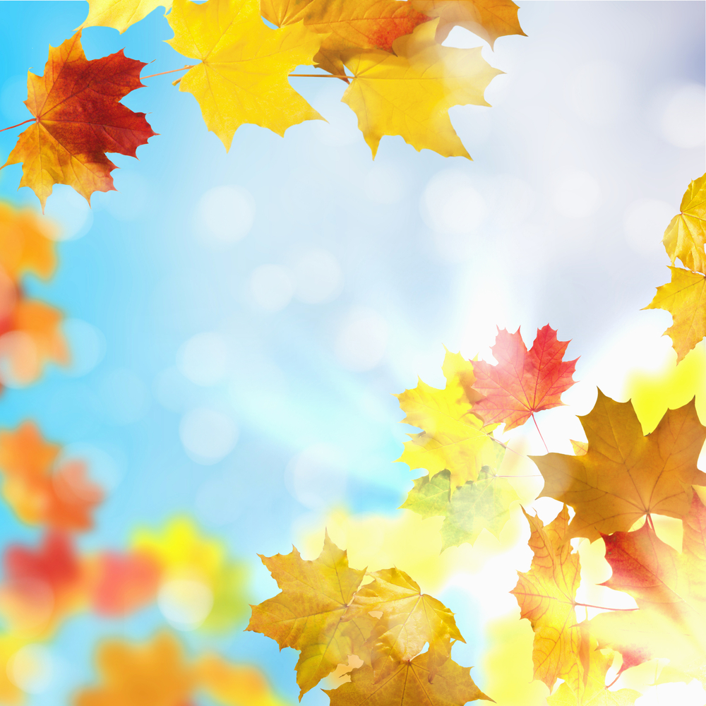 向上の道か？向下の道か？西洋と東洋の成功哲学の違いを解説